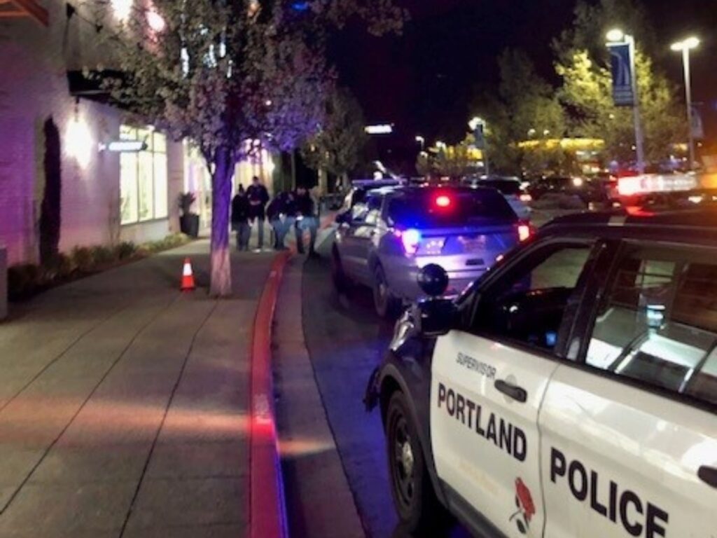 North Precinct Officers make arrests in retail theft mission